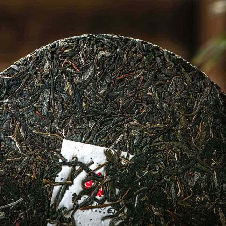 2016 Jinggu Wild Forest Gushu Raw Puer Tea | Yunnan Tea Market